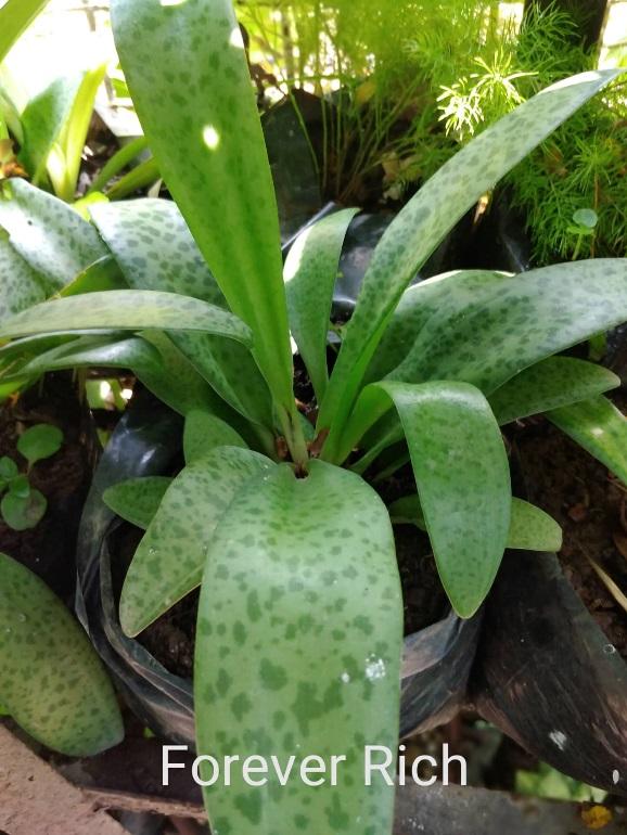 Manila Zoo | Rediscover the New Manila Zoo