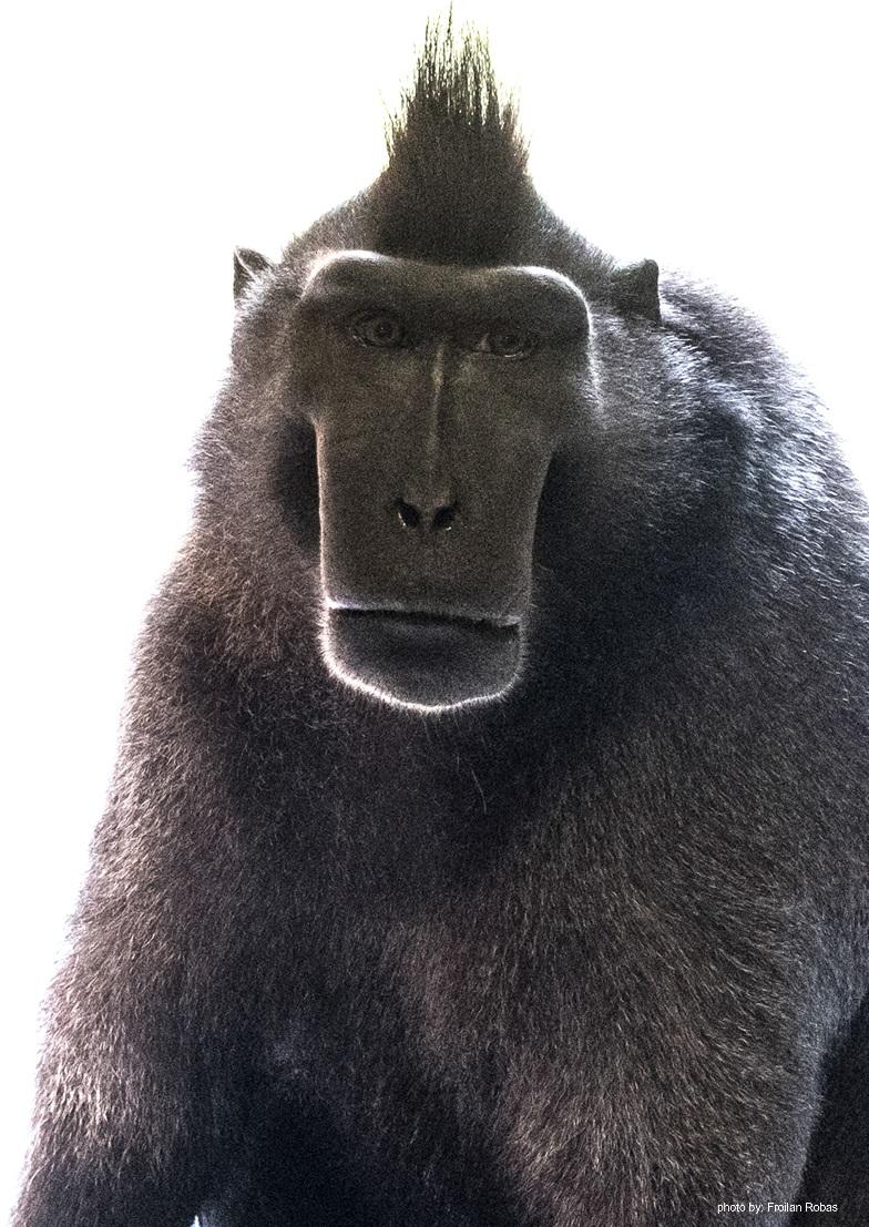 Manila Zoo | Rediscover the New Manila Zoo